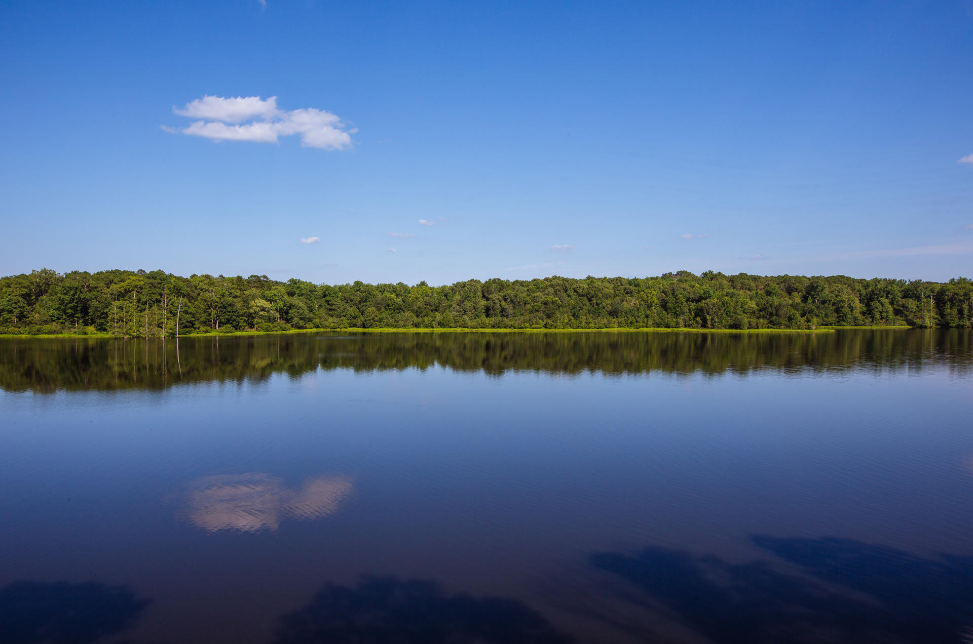 Things to Do - Welcome to Holly Springs